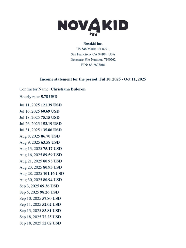 Novakid Income Statement Summary | PDF