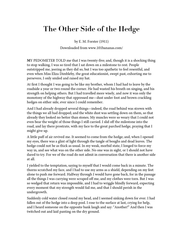 The Other Side of the Hedge Explained | PDF