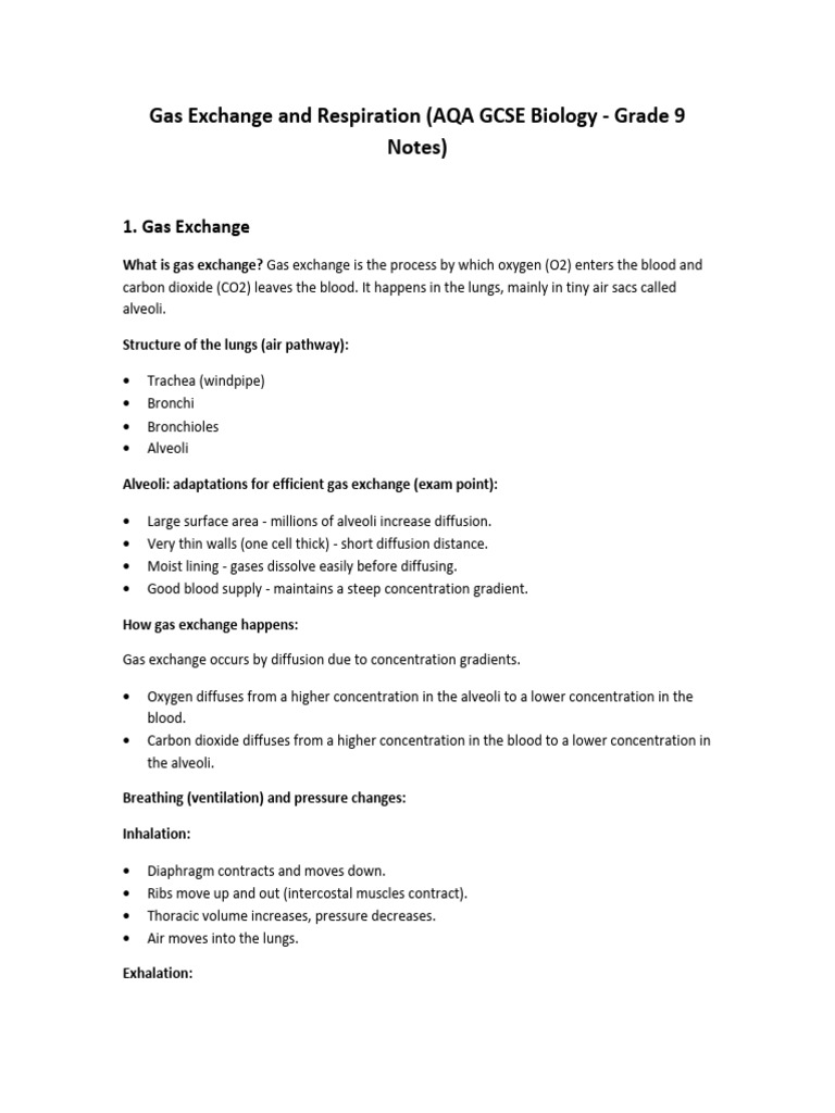 Gas Exchange and Respiration AQA Grade9 | PDF | Respiratory System | Lung
