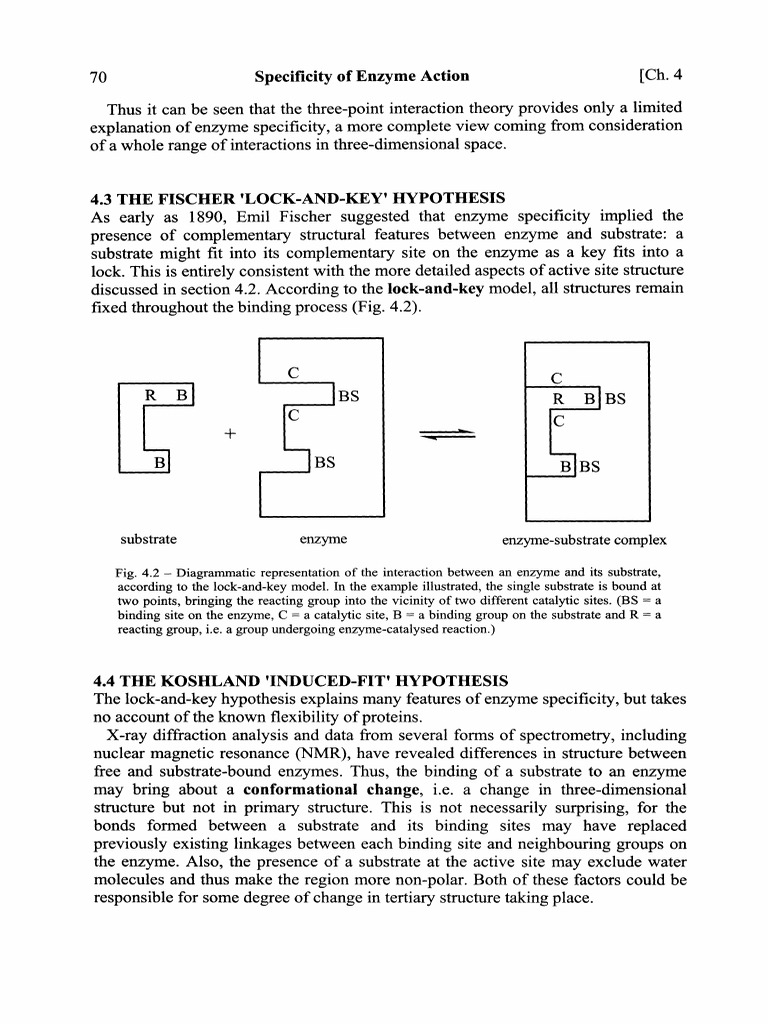Lock and Key and Induced Fit Mechanisms | PDF | Active Site | Enzyme