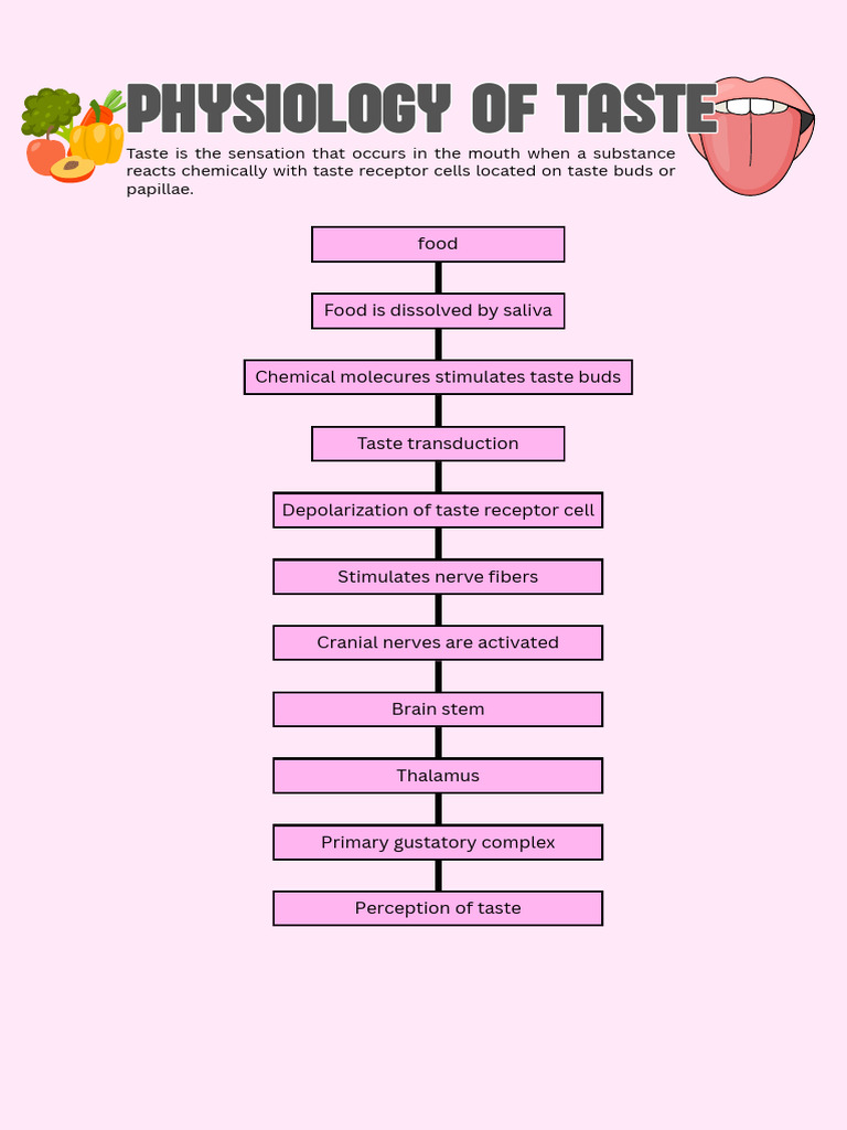 Physiology of Taste.pdf | PDF