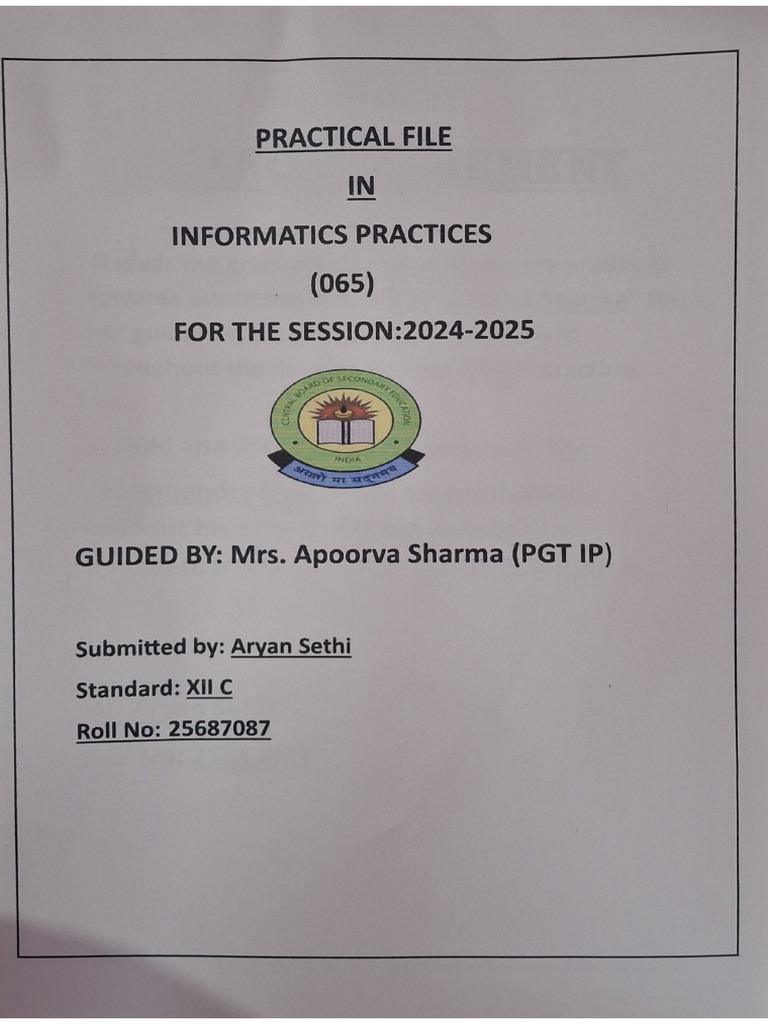 IP Holiday Homework | PDF
