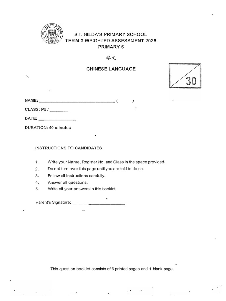 P5 Chinese Language Assessment 2025 | PDF