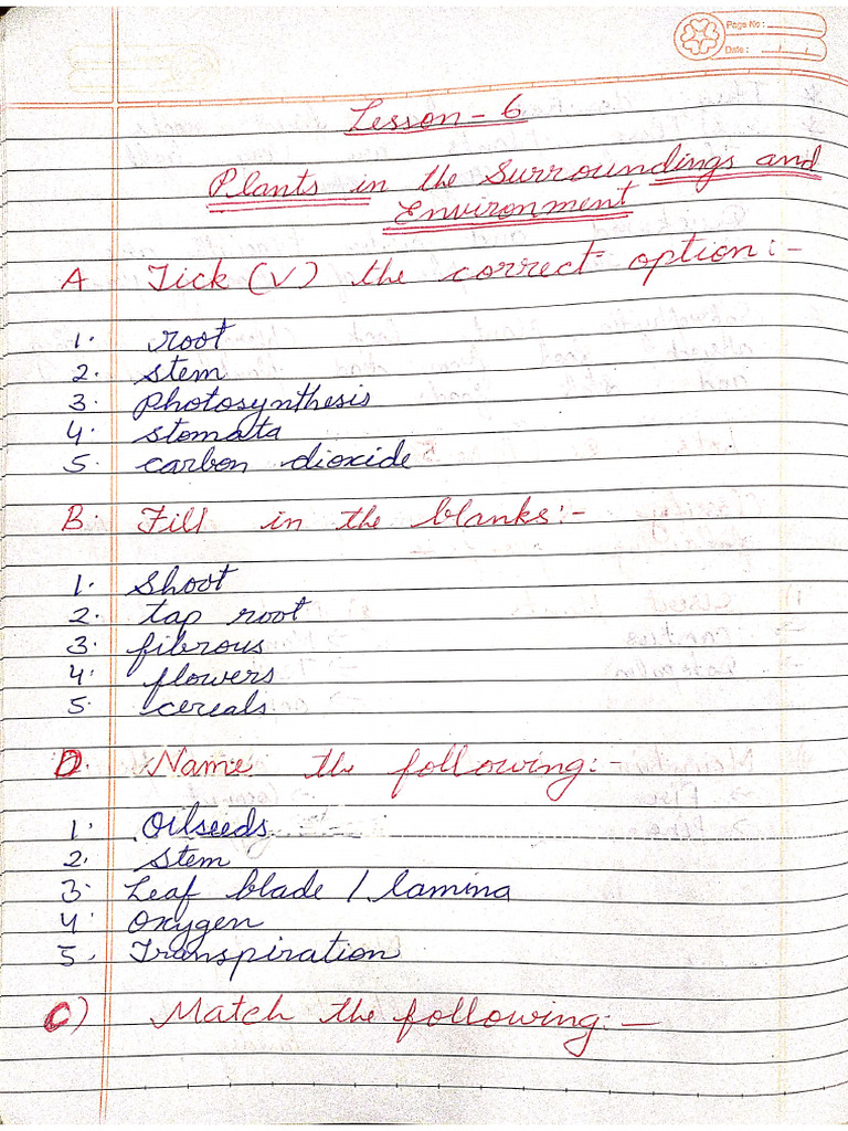 Class 4 Chapter 6 GSC | PDF