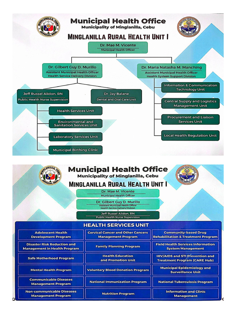 Organizational Chart RHU | PDF