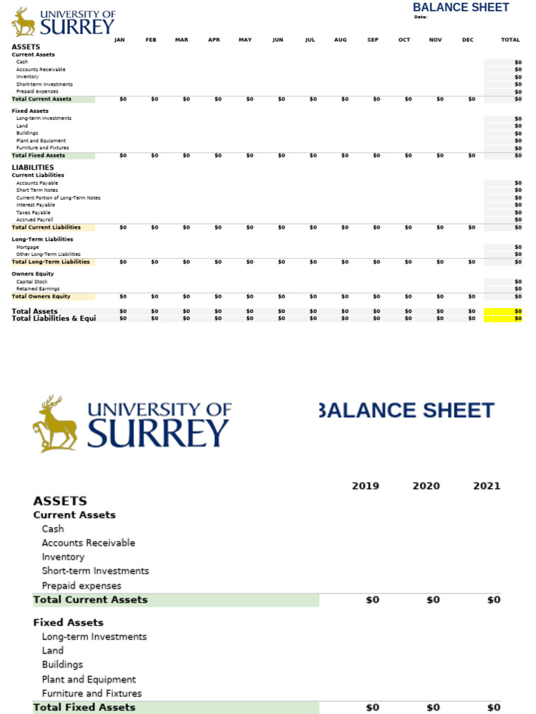 Annual Balance Sheet Overview | PDF | Balance Sheet | Equity (Finance)