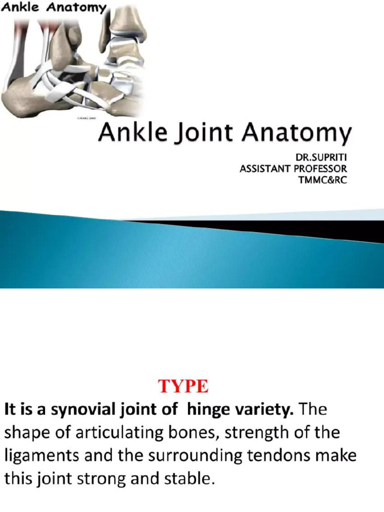 Ankle joint Anatomy - 20260108_103048 | PDF