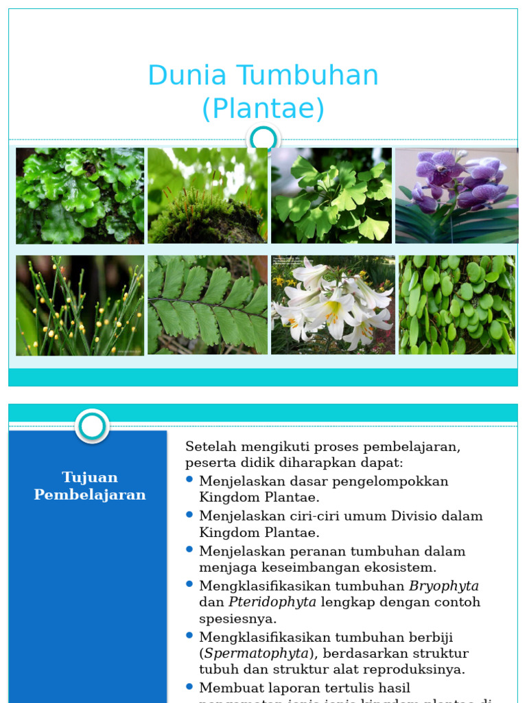 Klasifikasi dan Peran Tumbuhan Plantae | PDF