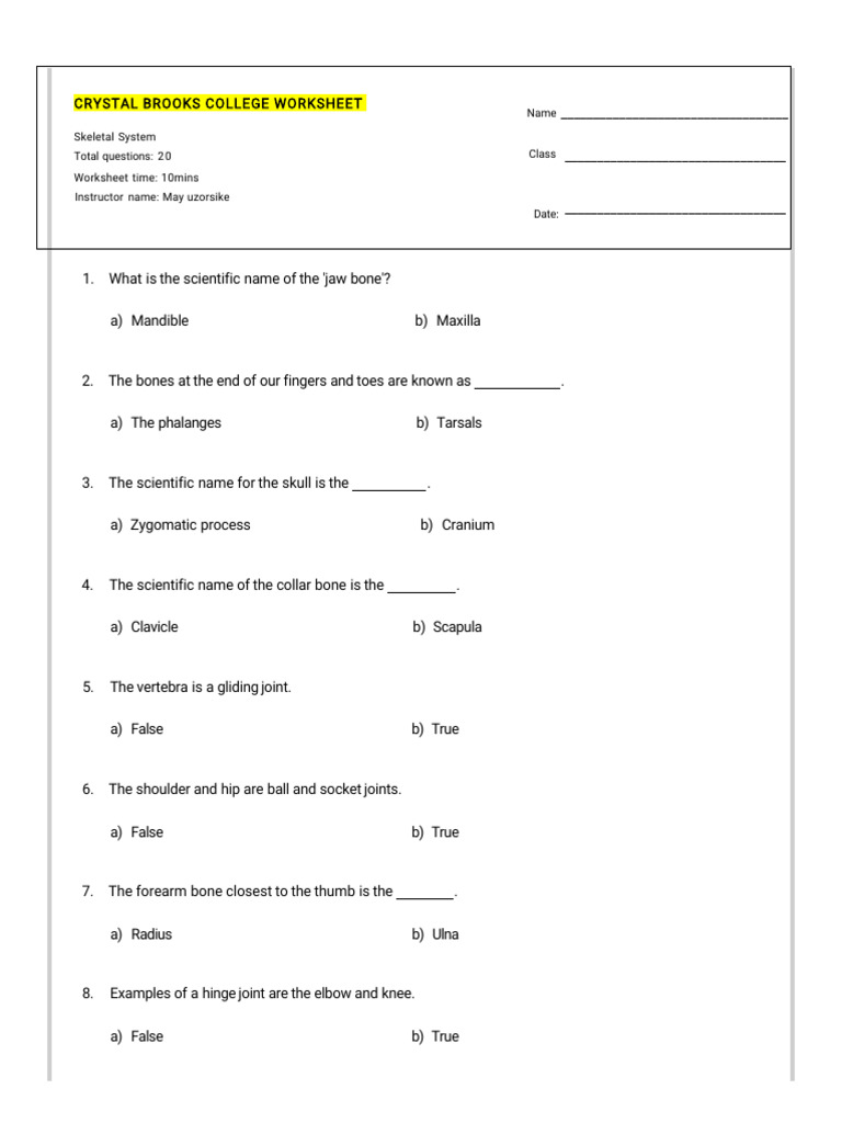 Skeletal System _ worksheet year10 | PDF | Shoulder | Skull