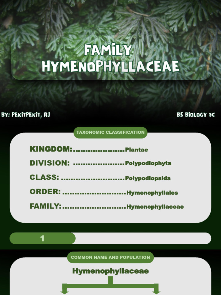 BIO87 - FAMILY HYMENOPHYLLACEAE | PDF | Plant Morphology | Biology