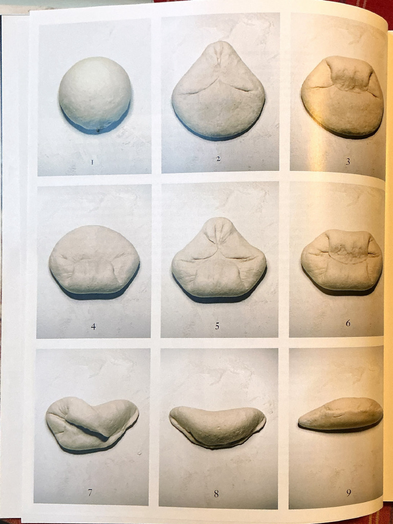 2026-01-15 15-15 página 15 | PDF