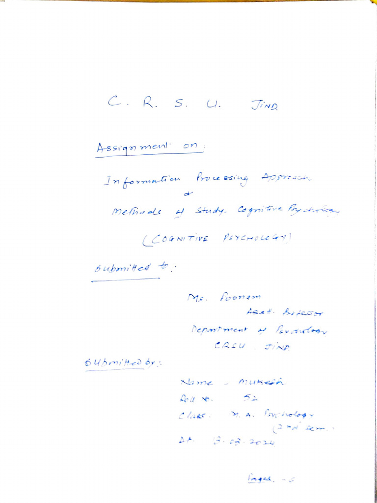 Assignment Cognitive | PDF