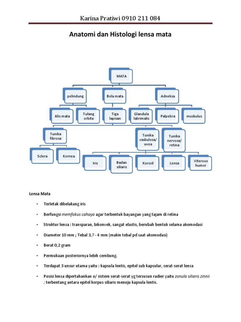 Anatomi Dan Histologi Lensa Mata | PDF | Sains & Matematika