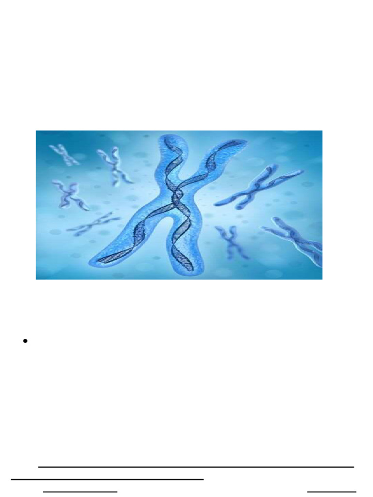 Understanding Chromosomal Disorders | PDF | Cell Nucleus | Genetics
