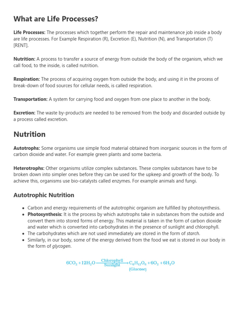 Life Process Easy Notes.10 | PDF | Science & Mathematics | Wellness