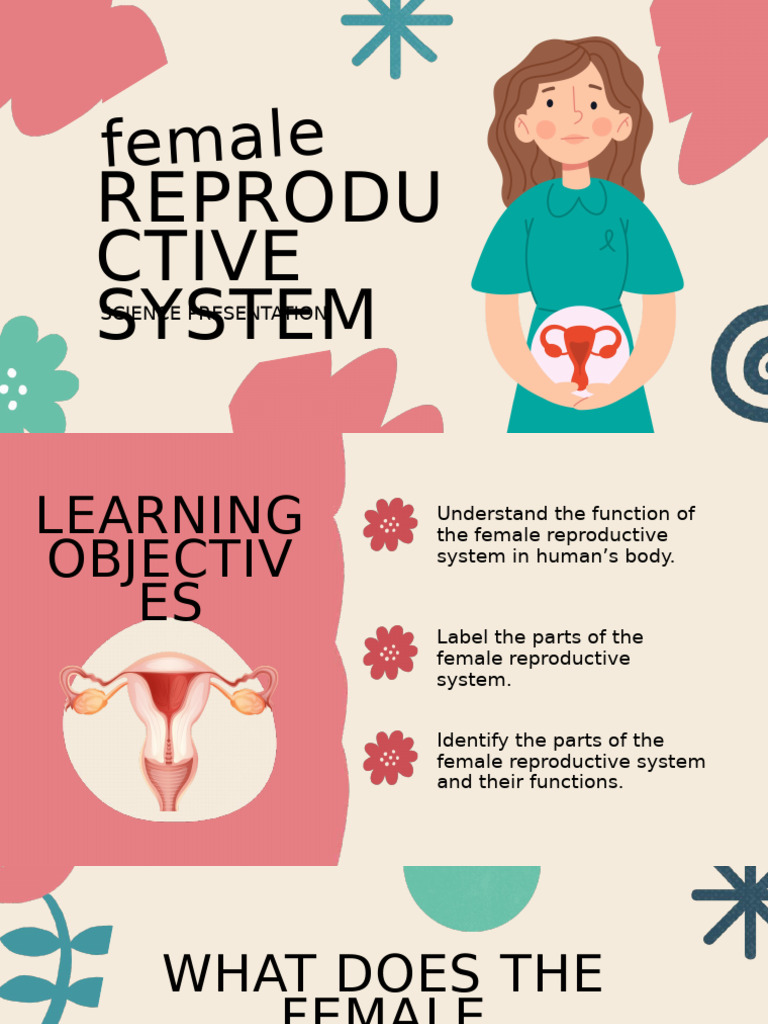 Female Reproductive System Science Presentation in Blue and Pink ...