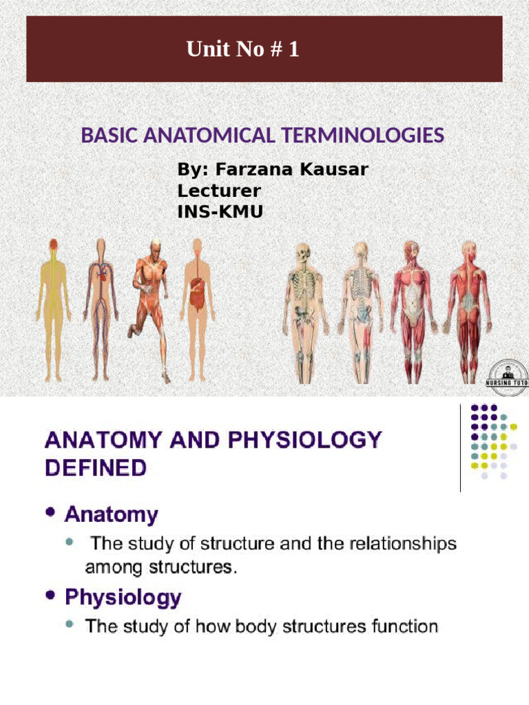Anatomy & Physiology BSN Fisrt Semester Combine Slide in ONE PPT by ...