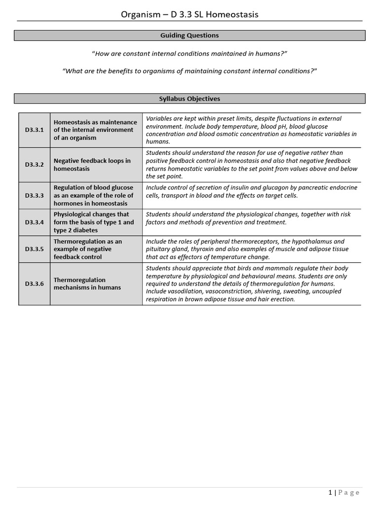 1. D 3.3 SL Homeostasis - Student Notes | PDF | Homeostasis | Pancreas