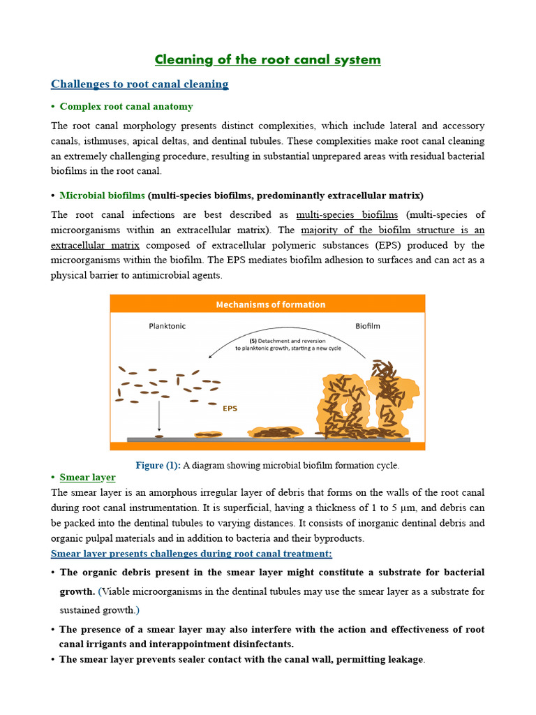 I-Cleaning of Root Canal System (SOURCE) 2 | PDF | Biofilm | Chemical ...