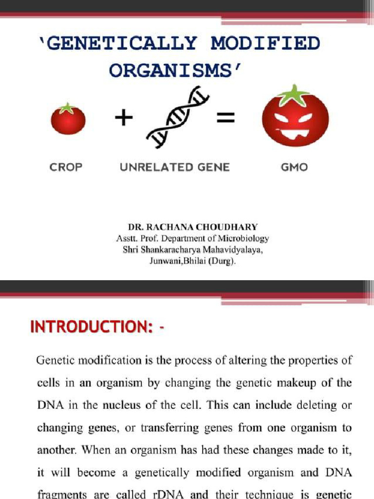 Genetically Modified Organism PPT | PDF