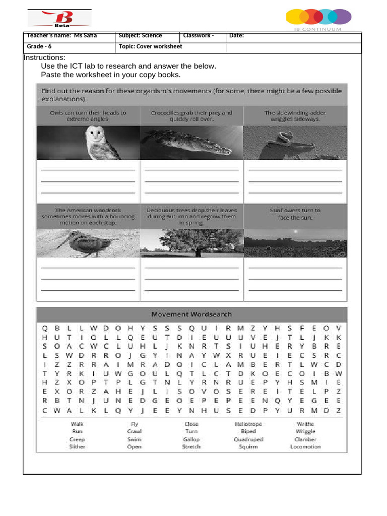 Cover Worksheet Grade 6A | PDF