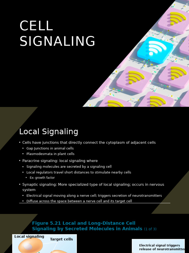 Unit 4 Cell Signaling PPT | PDF | Cell Signaling | Signal Transduction