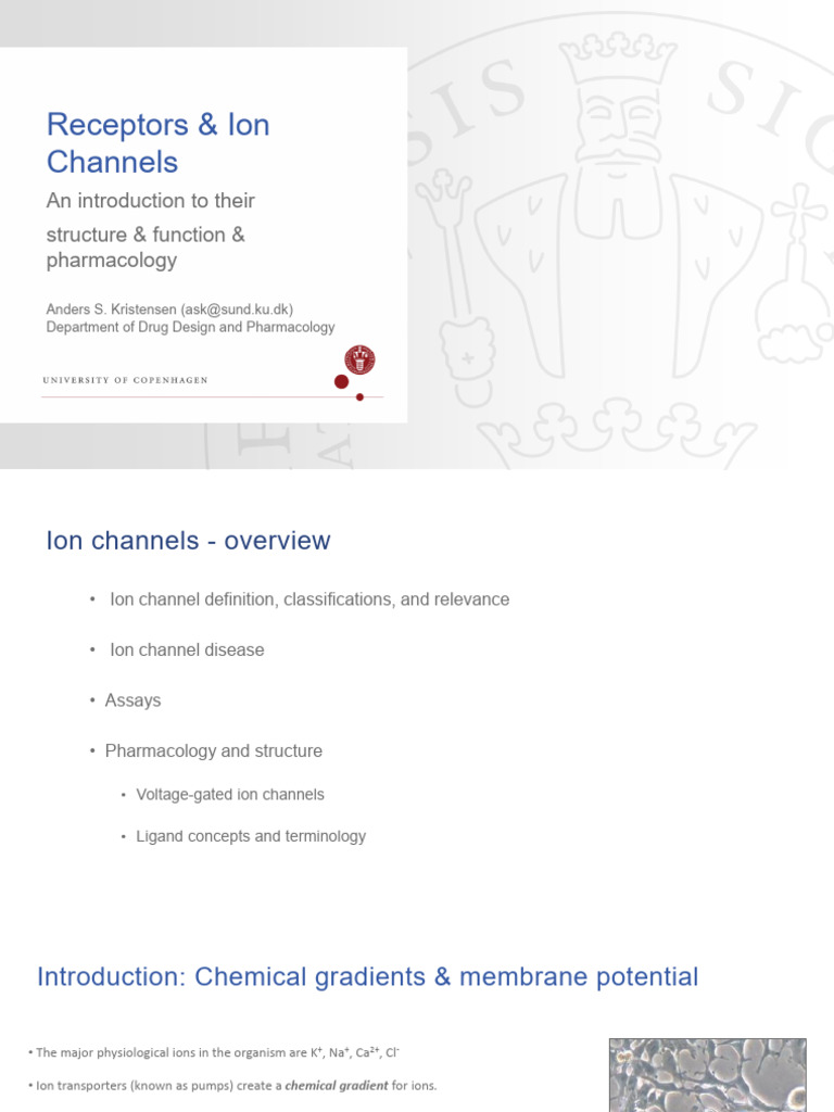 17+18. Receptors & Ion Channels 2025 (1) | PDF | Ion Channel | Receptor ...