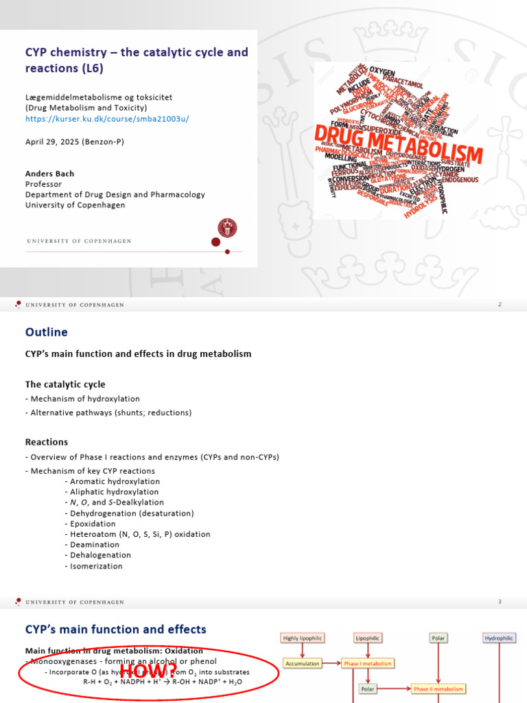 L6_CYP chemistry – the catalytic cycle and reactions_AB | PDF | Drug ...
