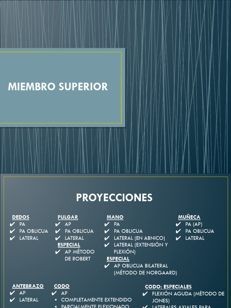 Documento de Laura | PDF