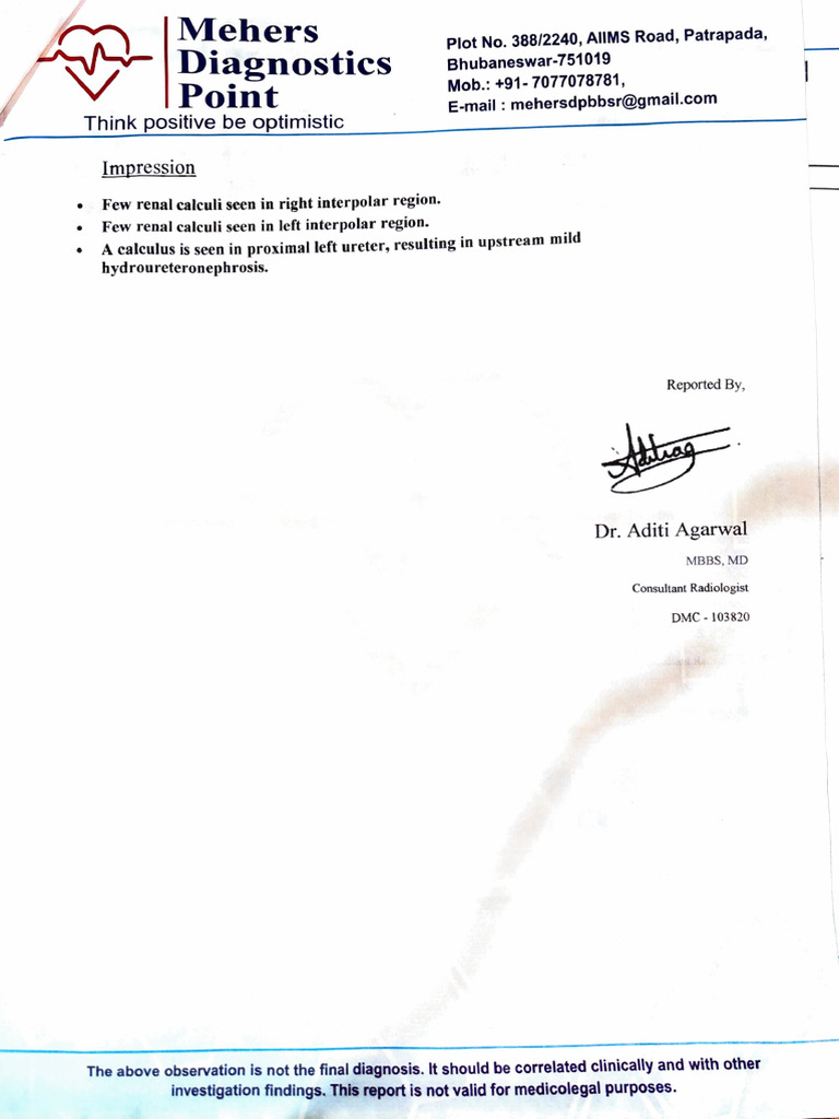 Renal Calculi and Hydroureteronephrosis Report | PDF