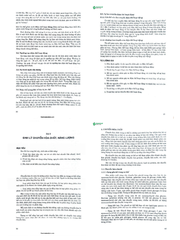 ựknf21039fj2 | PDF