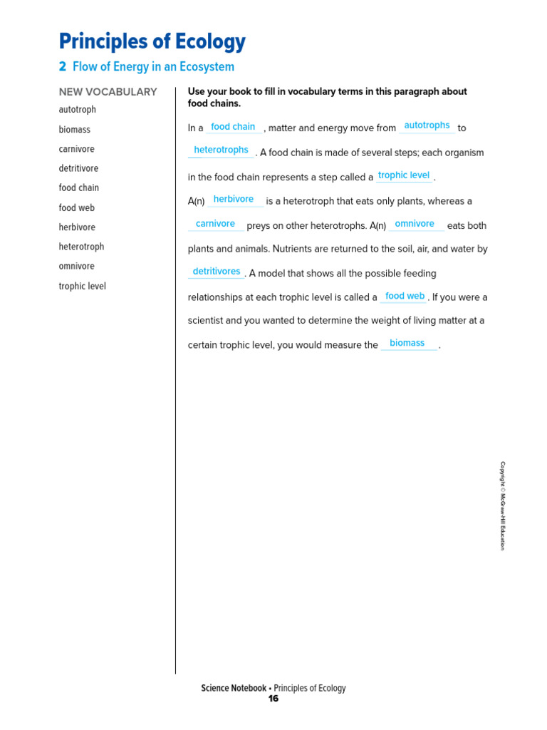 2.2 Flow of Energy in An EcosystemScience Notebook AK | PDF | Food Web ...