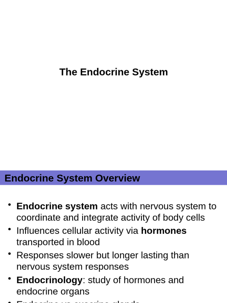Endocrine System 4 | PDF | Endocrine System | Pituitary Gland