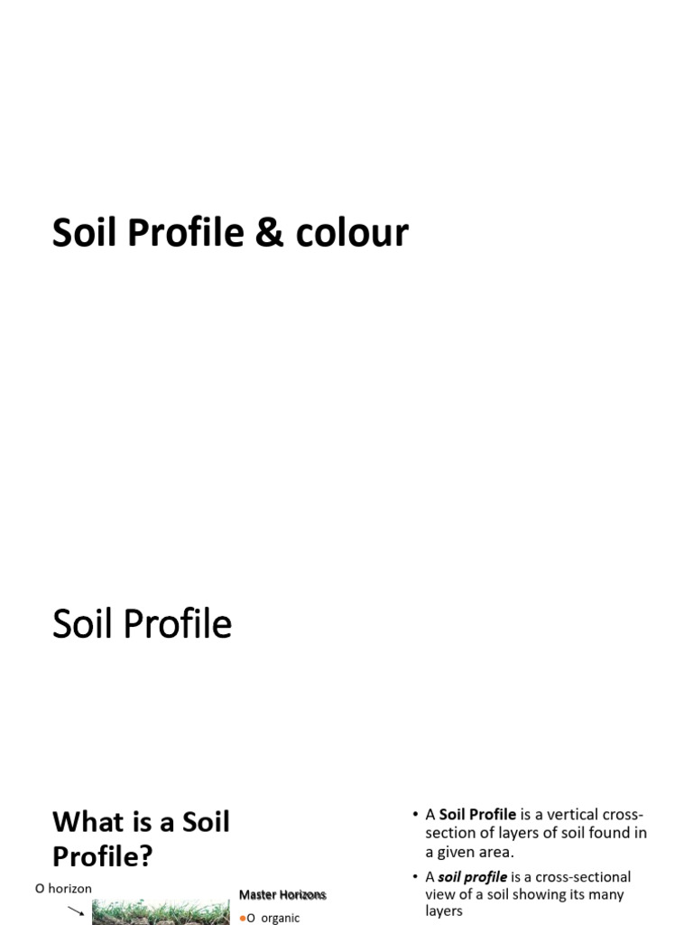 Understanding Soil Profiles and Colors | PDF | Soil | Porosity