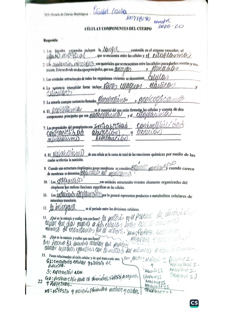 Célula y Núcleo | PDF