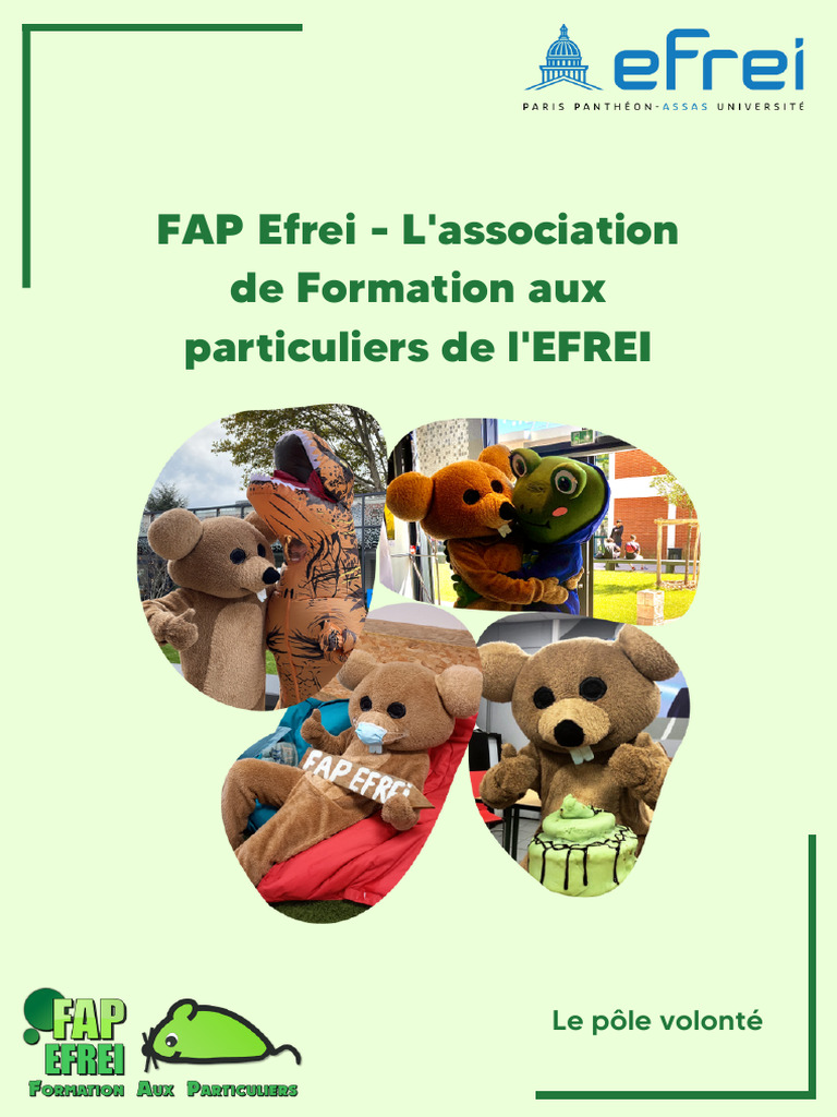 FAP Efrei : Formations Informatiques Accessibles | PDF | Cyberespace ...
