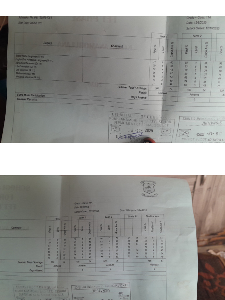 Mashabela Shawn Report | PDF