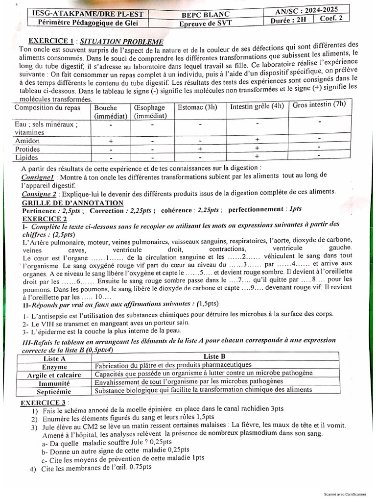 Bepc Blanc Pp de Glei | PDF