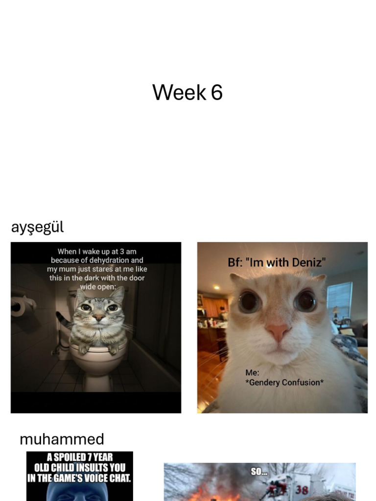 Week 6- Before& After Meme Comparison | PDF