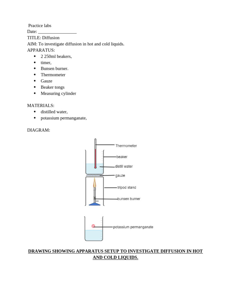 Investigating Diffusion in Liquids | PDF | Diffusion | Water