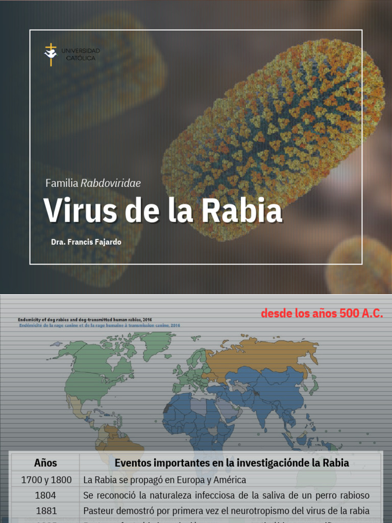 Información Esencial sobre la Rabia | PDF | Rabia | Virus