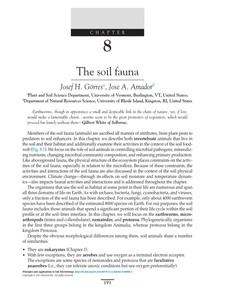 8 the Soil Fauna 2021 Principles and Applications of Soil Microbiology ...