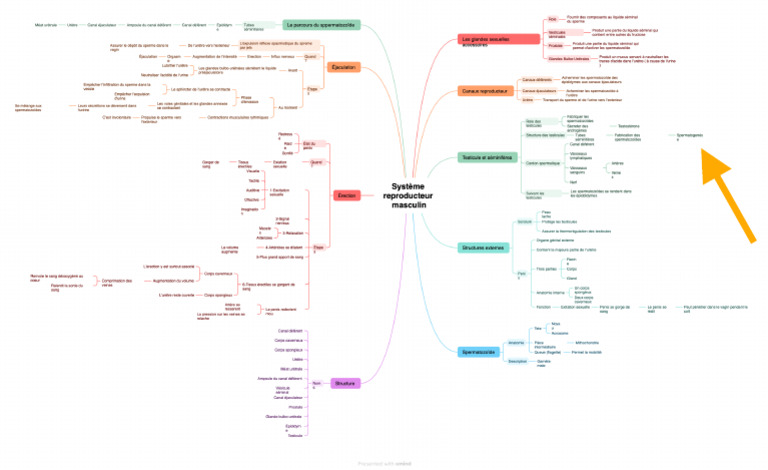 Mind Map | PDF