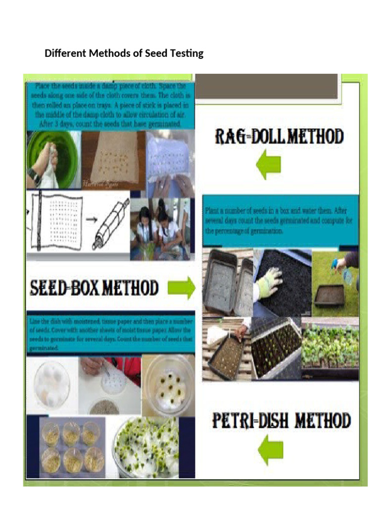 Different Methods of Seed Testing | PDF