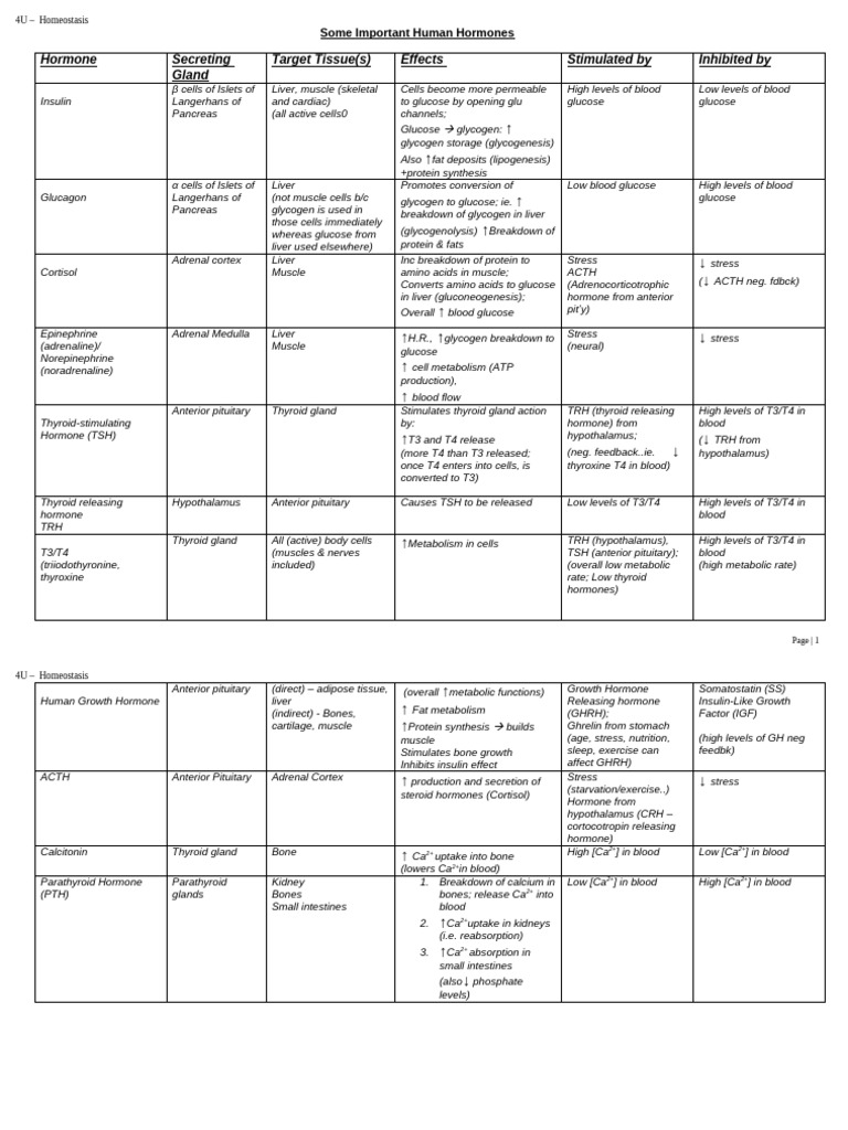 Human Hormones and Their Functions | PDF | Glycogen | Glucose
