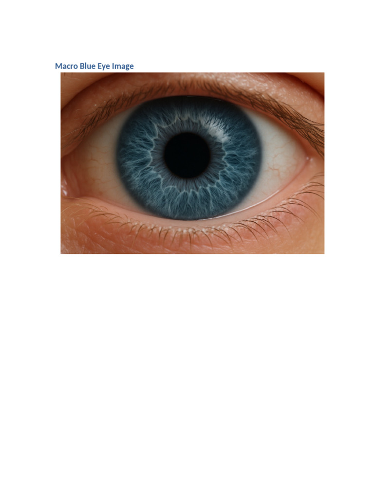 Blue Eye Macro | PDF