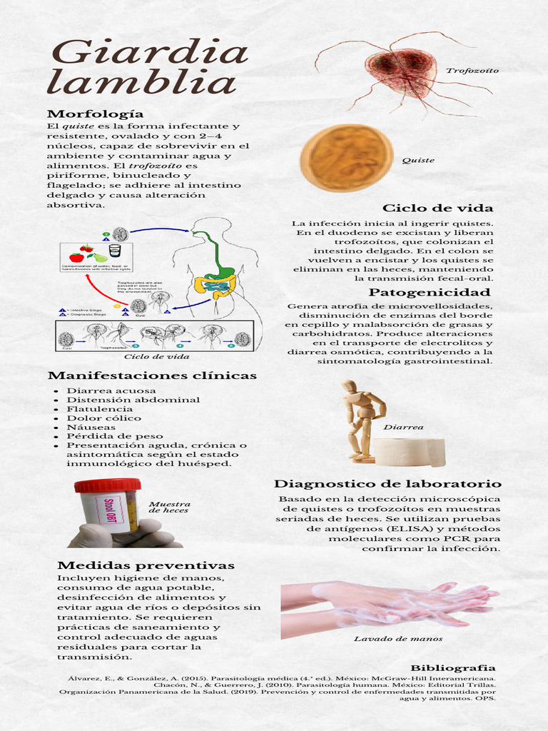 Giardia Lamblia ABR | PDF | Diarrea | Especialidades Medicas