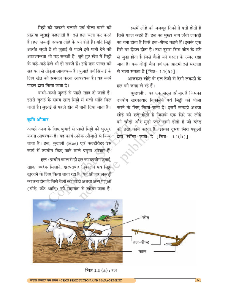 Science_Class VIII_Part I_Bilingual (Eng-Hindi) (4) | PDF | Manure | Sowing