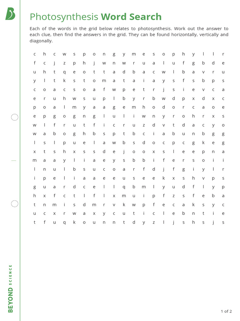 Photosynthesis Word Search Puzzle | PDF | Photosynthesis | Leaf
