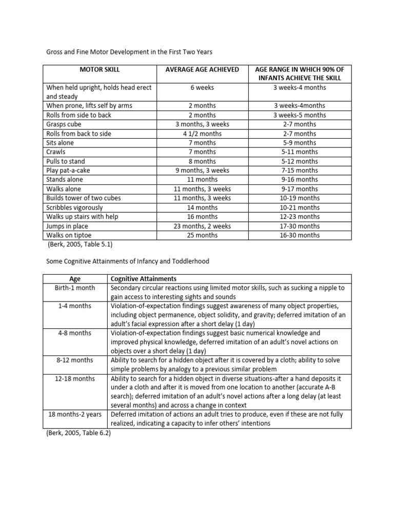 Child Development theories | PDF | Infants | Psychology